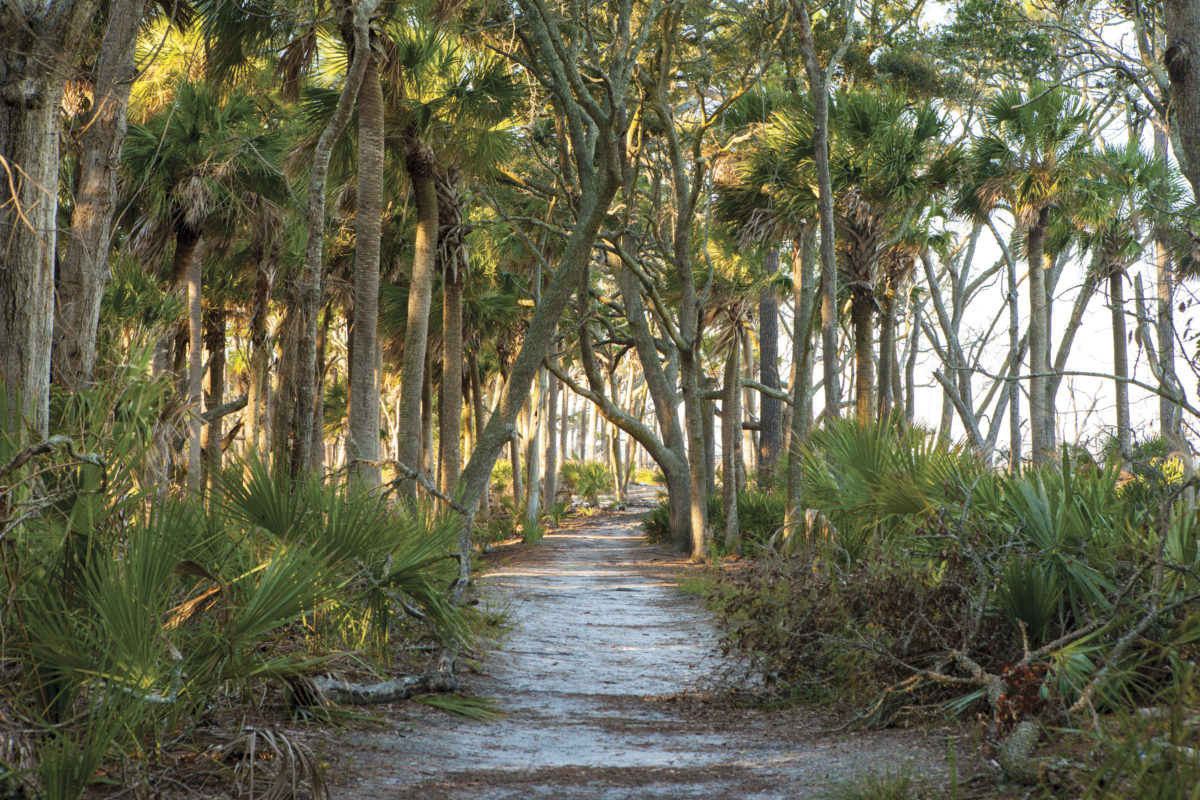 Hunting Island State Park Trails - Beaufort Lifestyle